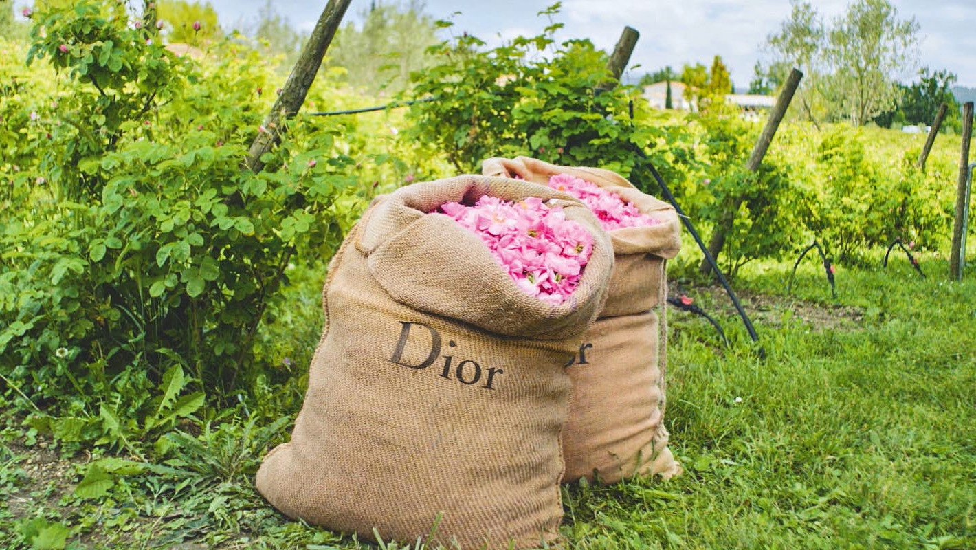 Christian Dior and the French Riviera